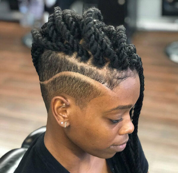 57 Twist Braids Styles and Types with How to Wear Them