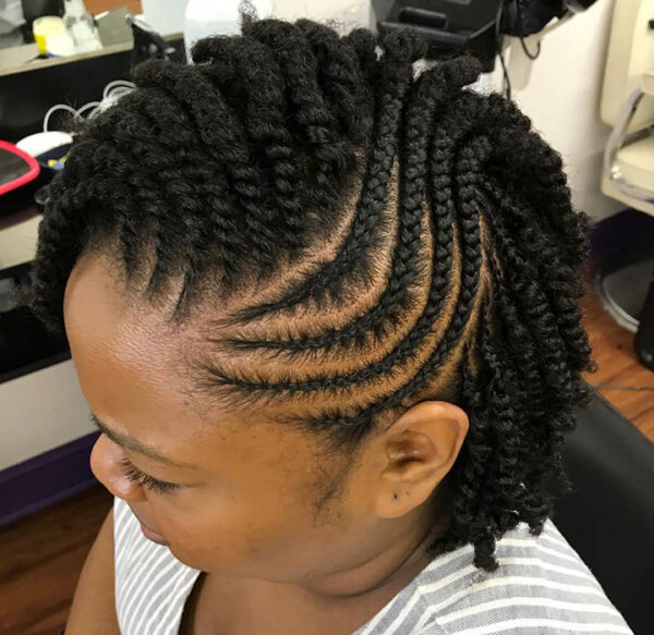 57 Twist Braids Styles and Types with How to Wear Them