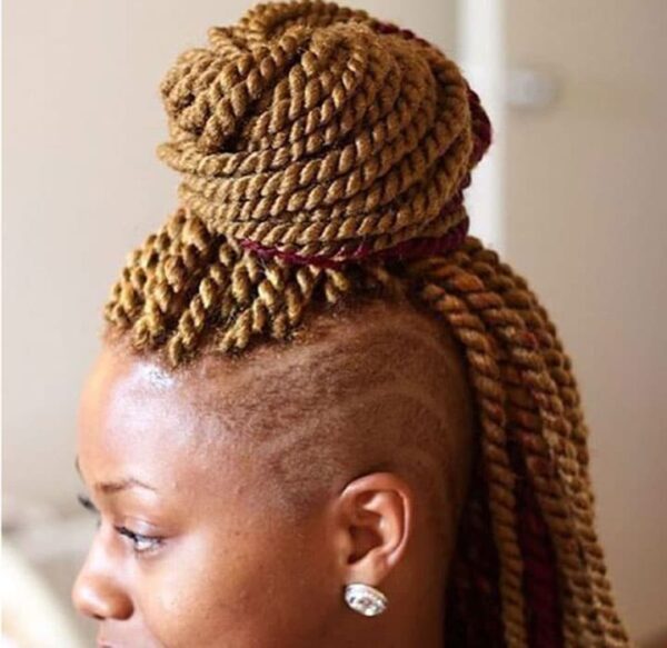 57 Twist Braids Styles and Types with How to Wear Them