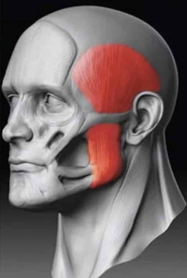 The 5 Best Jawline Exercisers Plus Jaw Exercise Guide